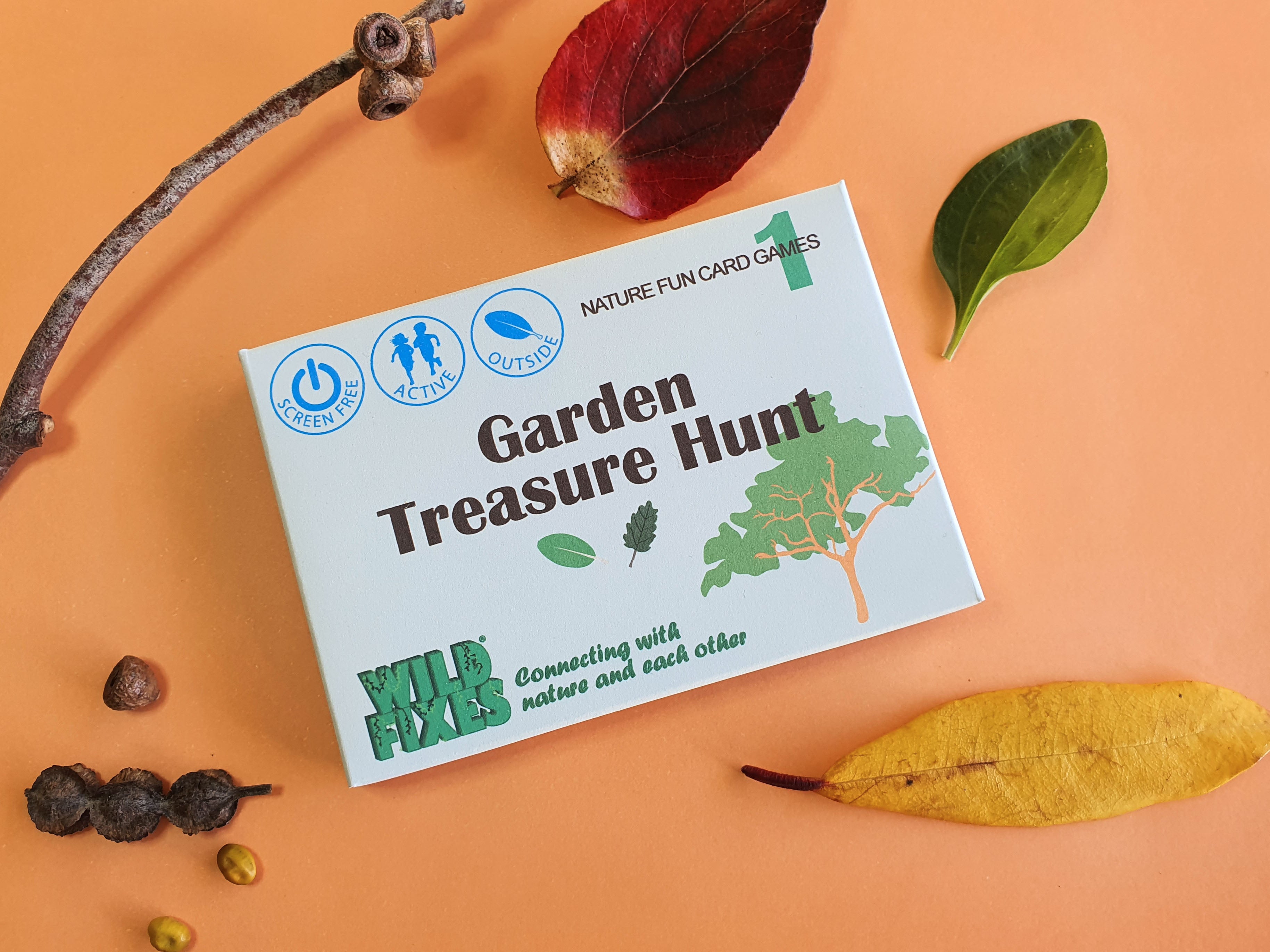 Garden Treasure Hunt Card Game – Sustained Fun